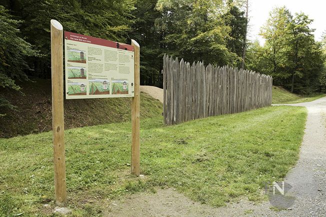 Langer Taunus-Römer-Marsch | Taunus-Nachrichten