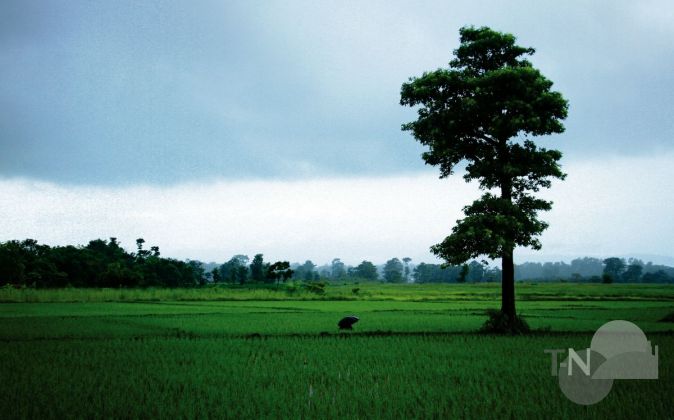 Kostenloser Info-Abend zum Thema Nachlassplanung | Taunus-Nachrichten