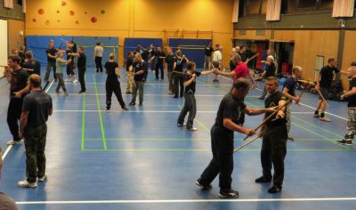 Großmeister Rommel Tortal lehrte in Falkenstein Selbstverteidigung ...