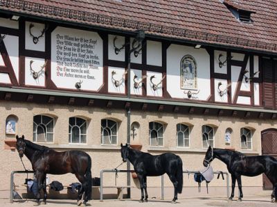 - Kein Titel (Z1.imx-Z1) - | Taunus-Nachrichten