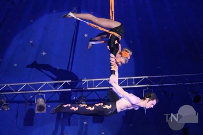 Der Circus kommt in die Stadt | Taunus-Nachrichten